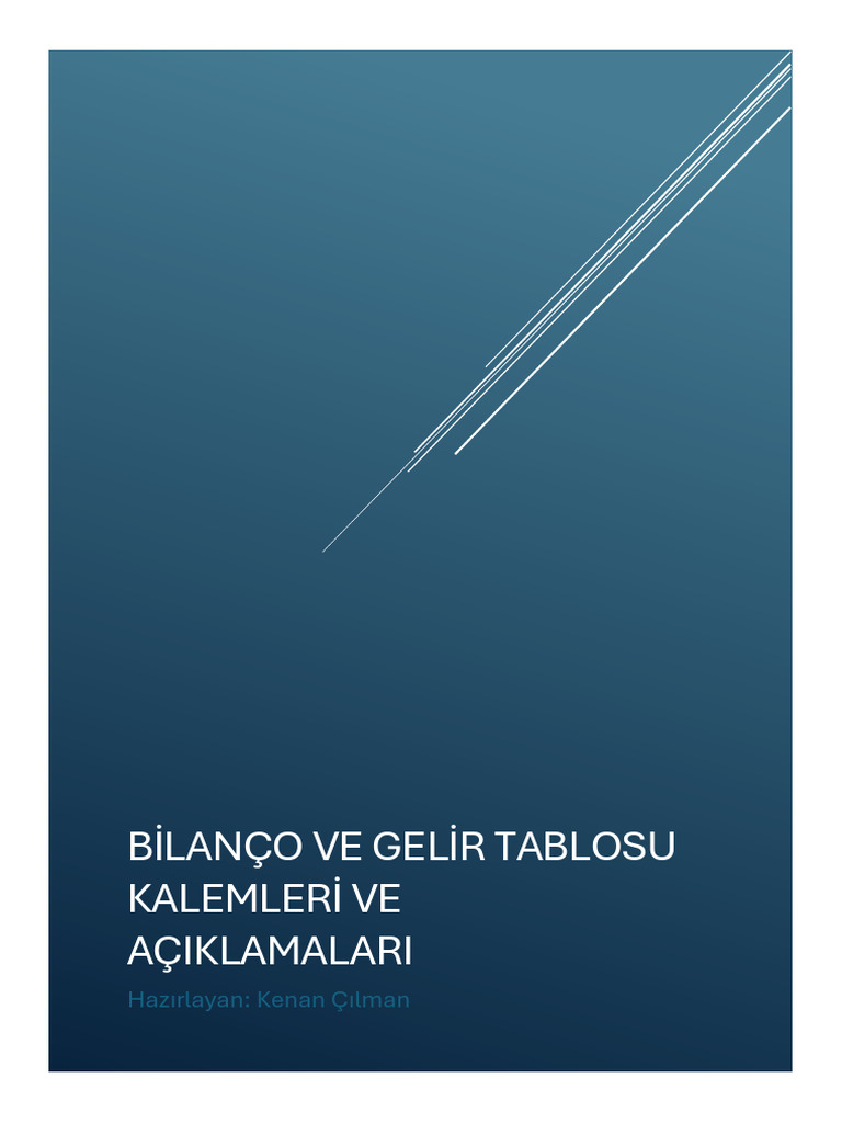 Bilan o Ve Gelir Tablosu Kalemleri S ZL 1746382958 | PDF