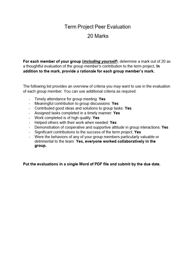 Term Project Peer Evaluation | PDF
