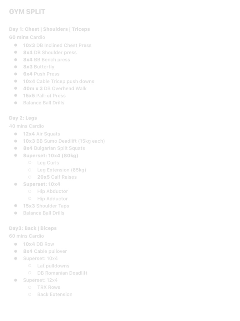 3-Day Gym Split Workout Plan | PDF