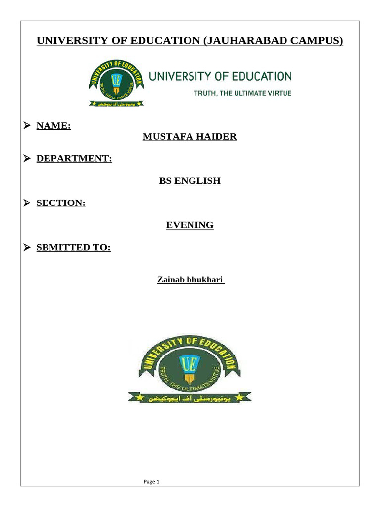 Mustafa Haider Assignment No 01.Docx Functinal English(1) | PDF