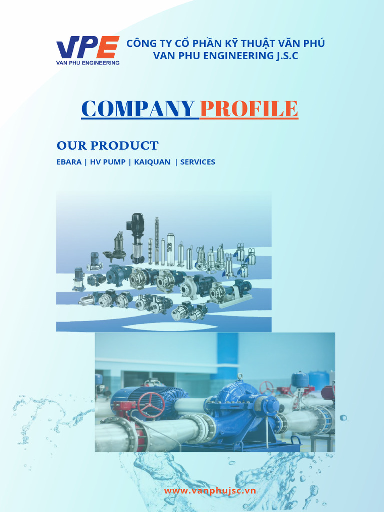 VPE Profile 24-4-25 New | PDF