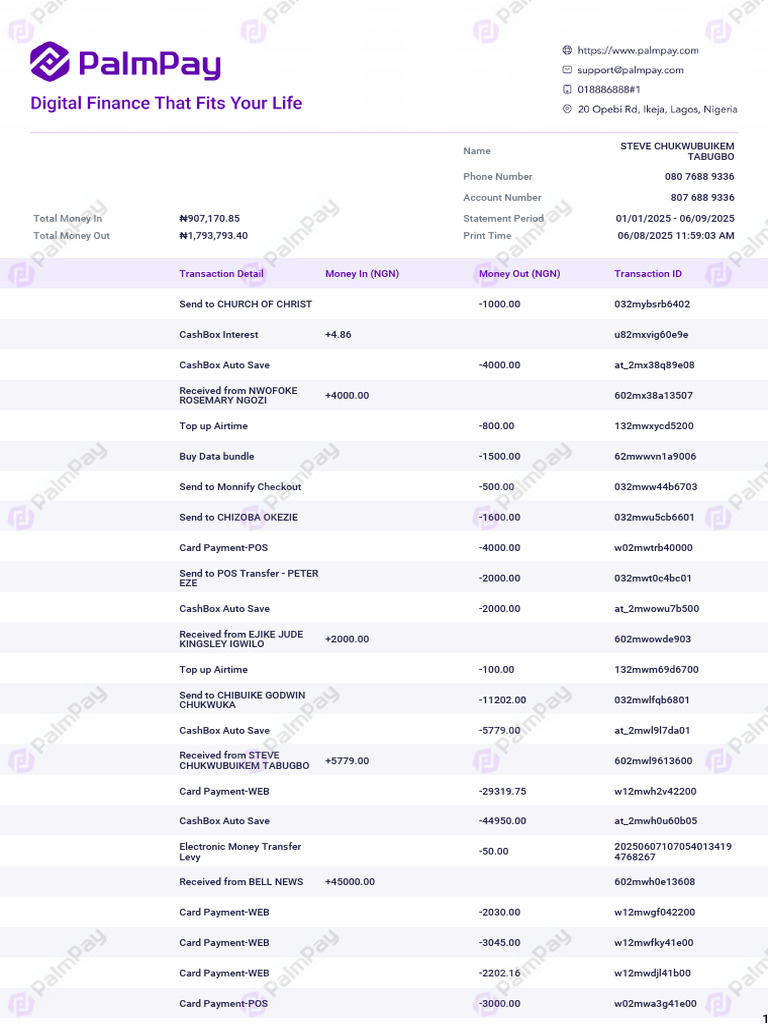 Palm Pay Statements Download - 20250608105903 | PDF | Payments | Currency