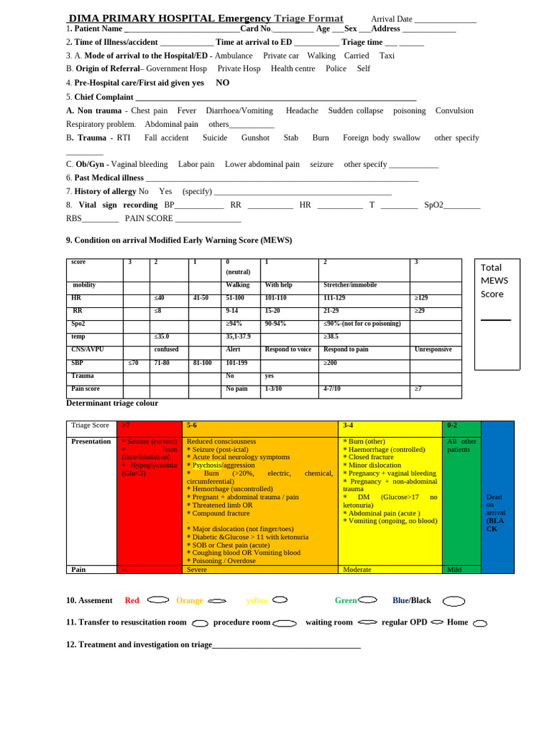 2 Emergency Triage Format | PDF | Pain | Burn