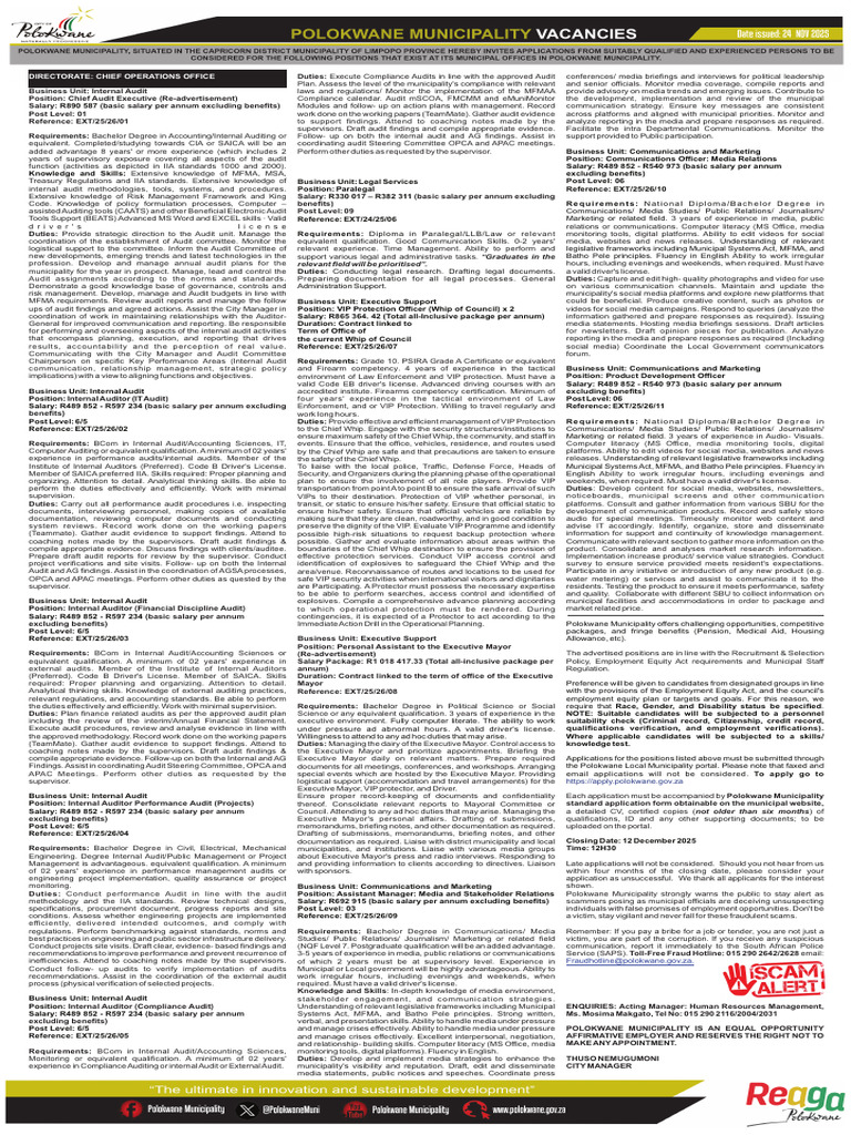Chief Audit Executive Job Description | PDF | Internal Audit | Audit