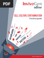 Mycostrip Tds 50 100 | PDF | Cell Culture | Mycoplasma