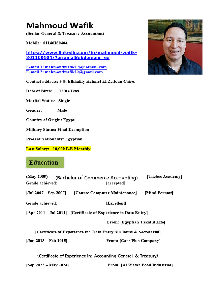 Mahmoud Wafik Senior General and Treasury | PDF | Business | Computing