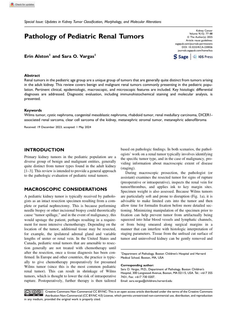Pediatric Renal Tumors Pathology Review | PDF | Metastasis | Kidney