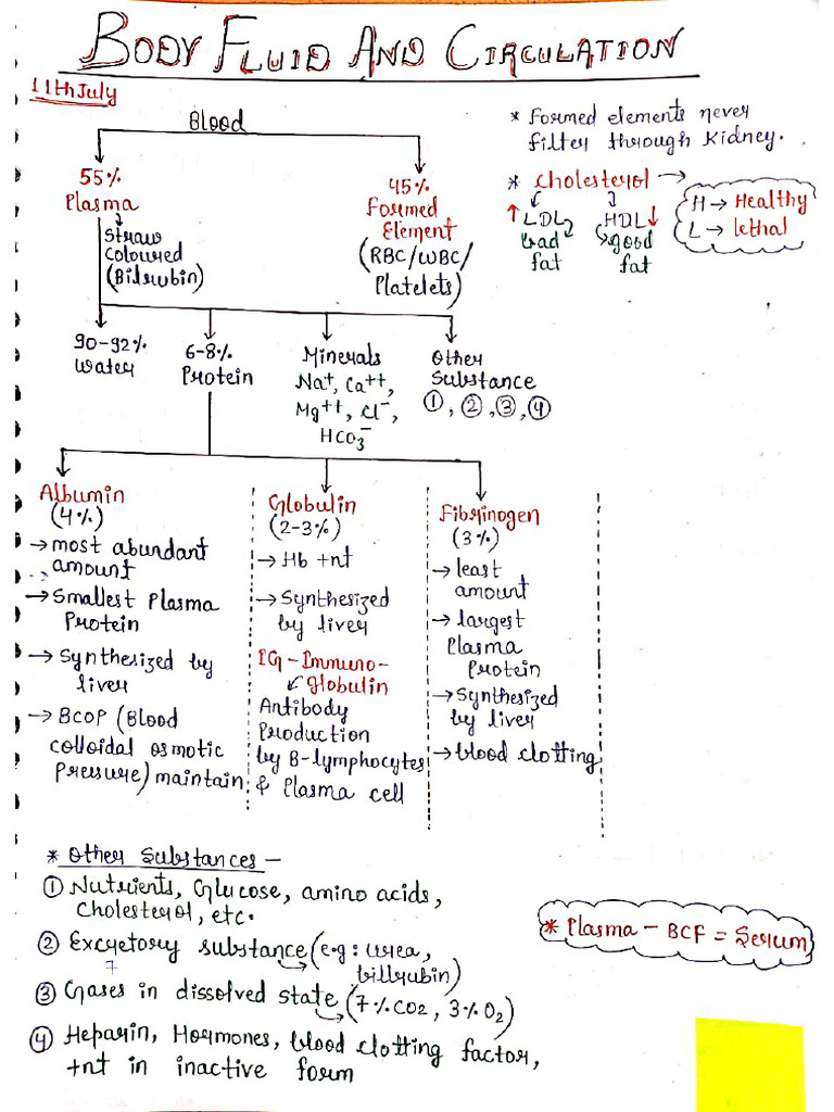 Circulatory System (Body Fluid and Circulation) - 241019 - 104158 | PDF