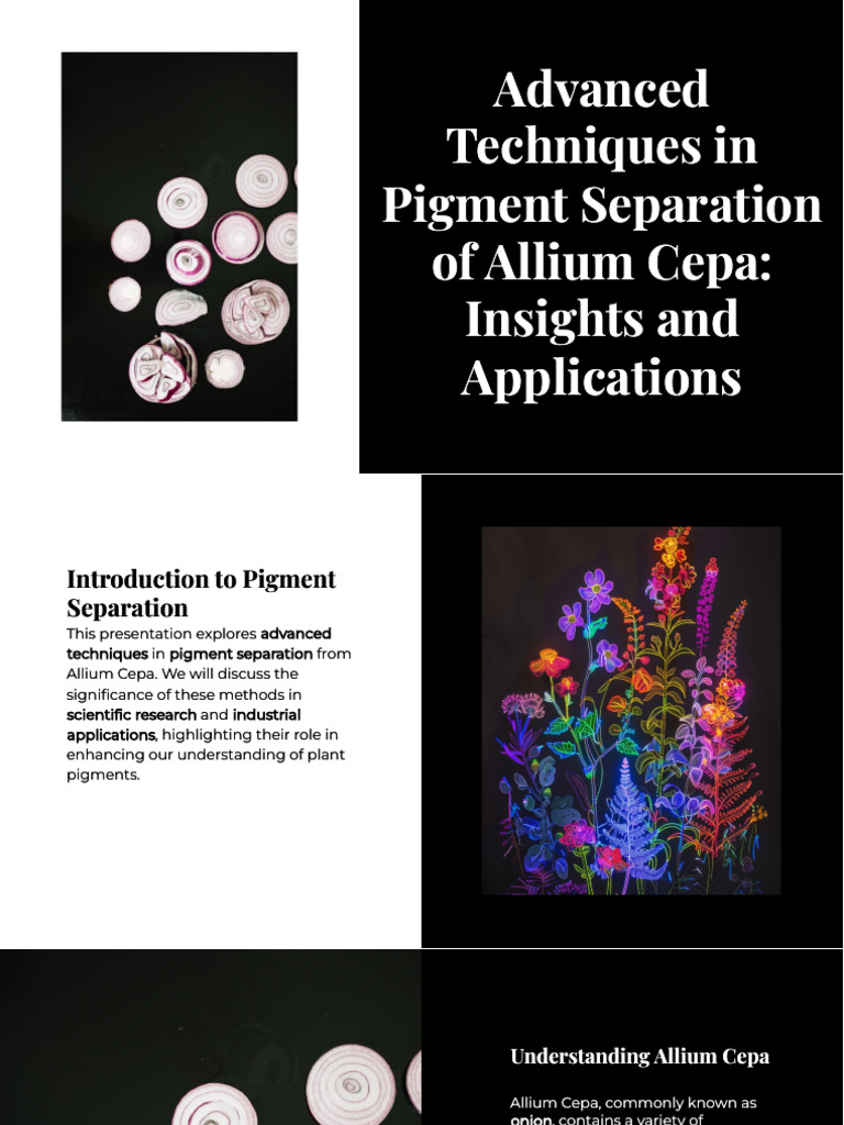 Pigment Separation Techniques in Onion | PDF | Pigment | Chromatography