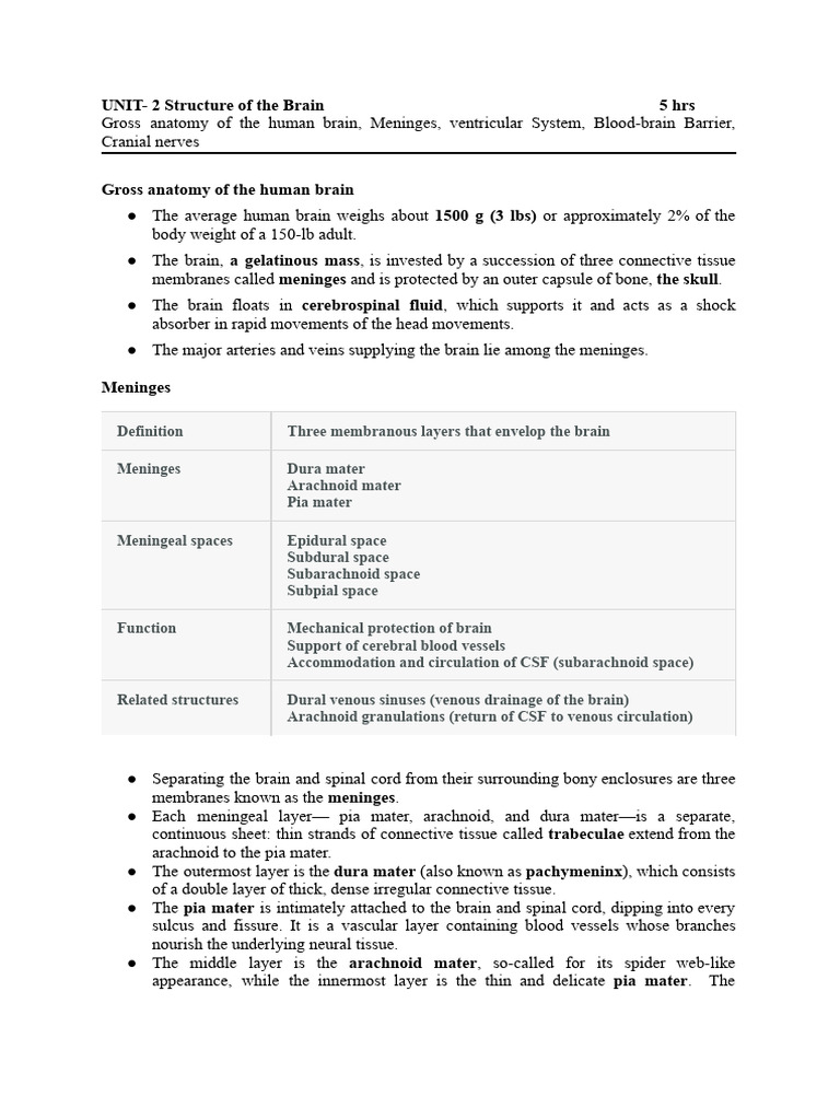 Brain Structure: Anatomy and Functions | PDF | Cerebrospinal Fluid ...