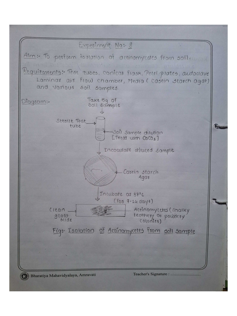 Expt 8 Micro | PDF | Soil | Natural Materials