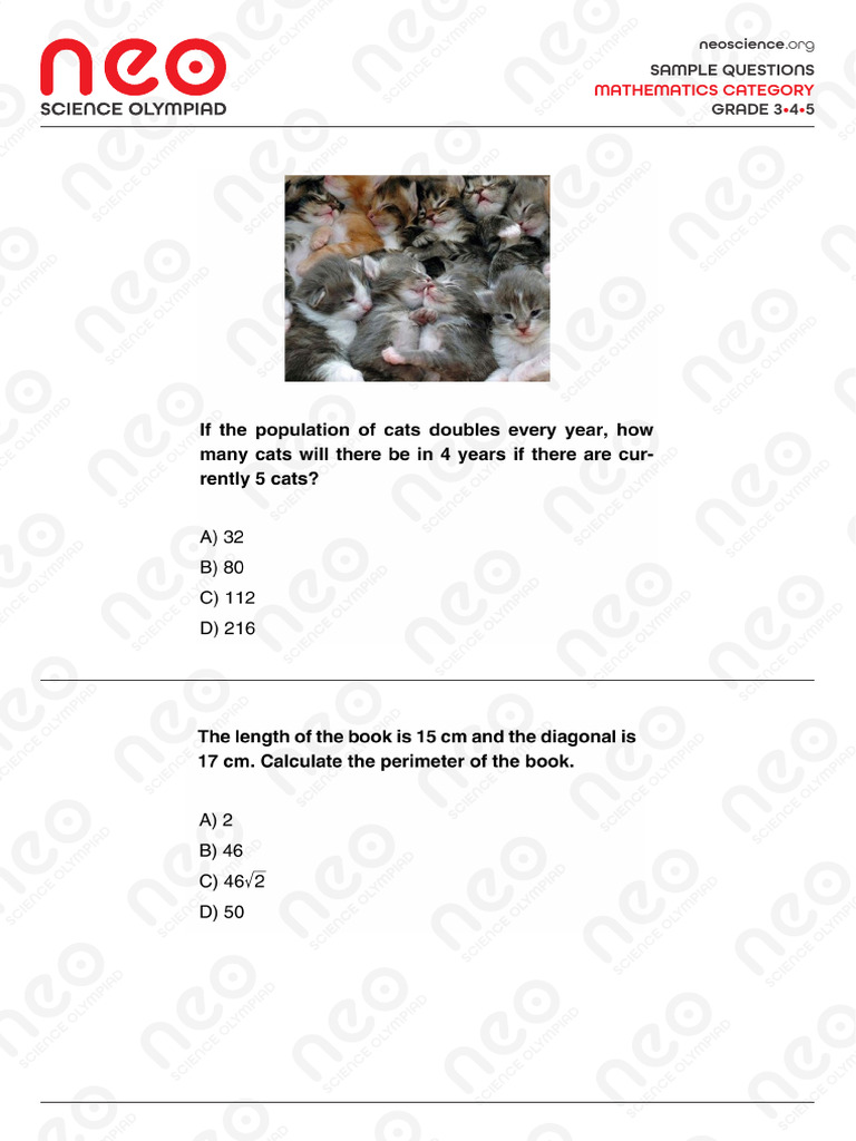 Neo Sample Questions Math 3 4 5 | PDF