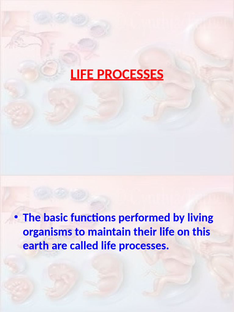 Life Processes | PDF | Cellular Respiration | Respiratory System