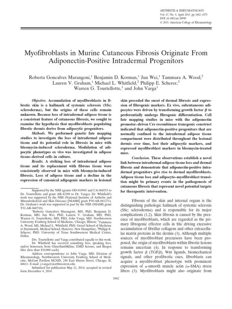 Myofibroblast Origins in Skin Fibrosis | PDF | Adipose Tissue | Dna ...