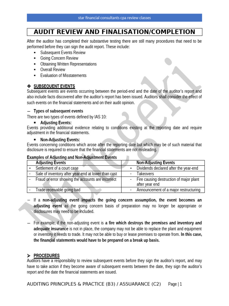 Audit Review Procedures and Going Concern | PDF | Going Concern ...