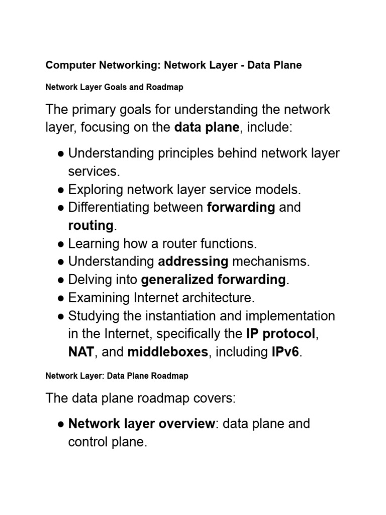 Network Layer Data Plane Overview | PDF | I Pv6 | Internet Protocols