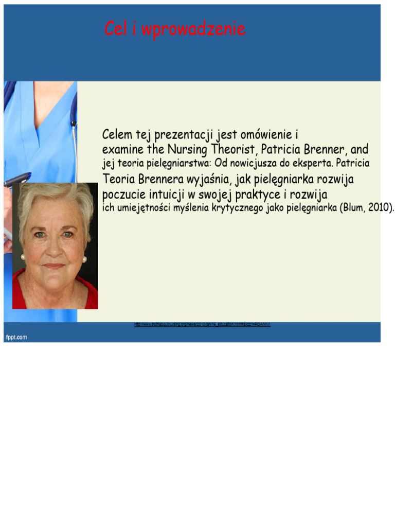Patricia Benner | PDF