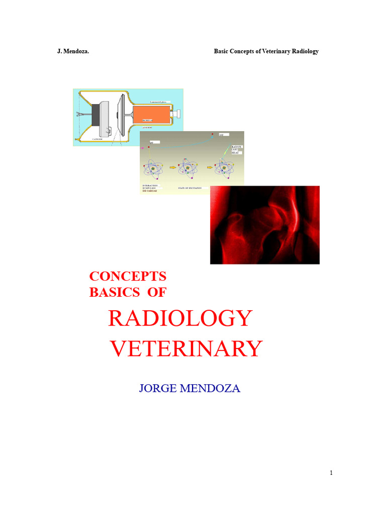 Veterinary Radiology: Basic Concepts Guide | PDF | Electromagnetic ...