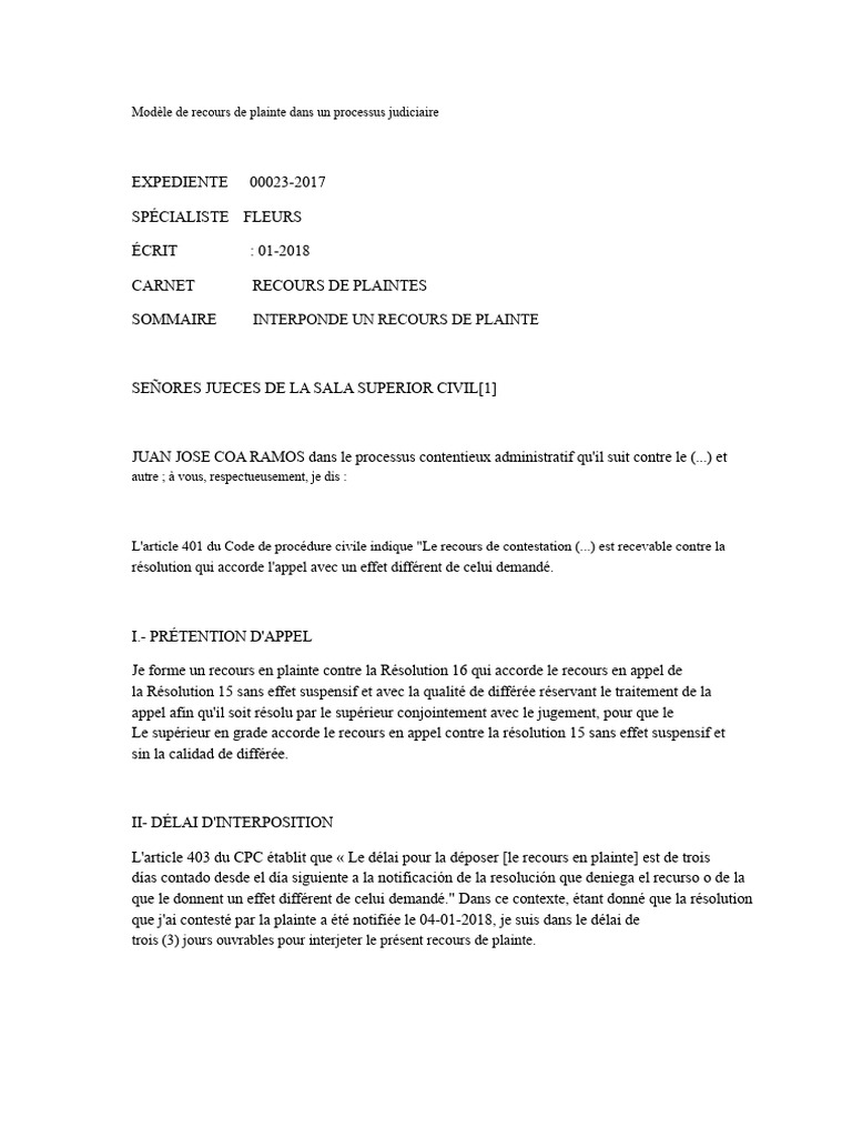 Modèle de Recours de Plainte Dans Le Cadre D'une Procédure Judiciaire ...