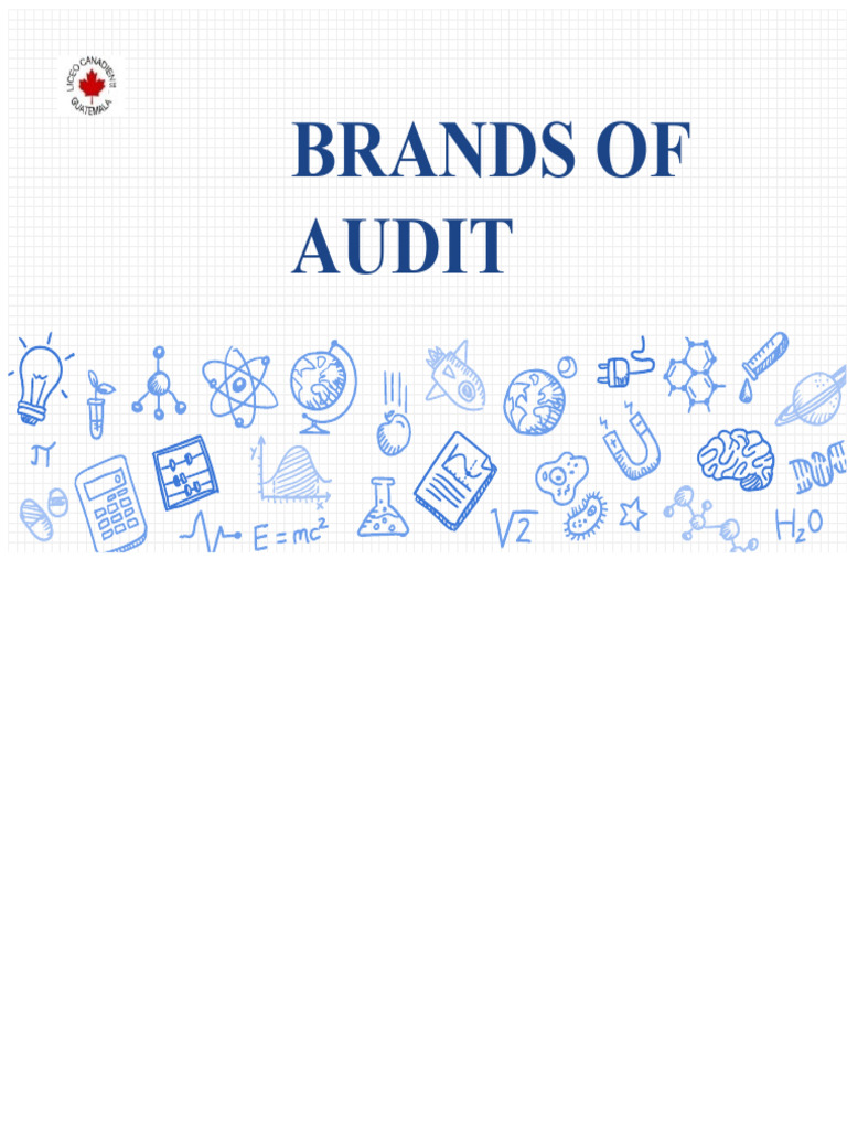 Audit marks (1) | PDF