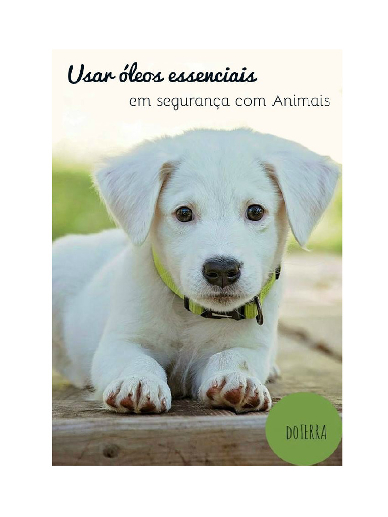 Animals and Essential Oils From Doterra For Dogs | PDF | Aromatherapy ...