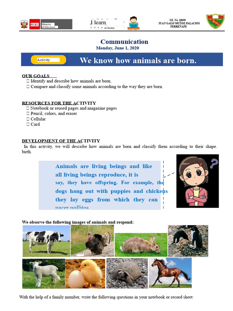 We Know How Animals Are Born | PDF | Egg | Zoology