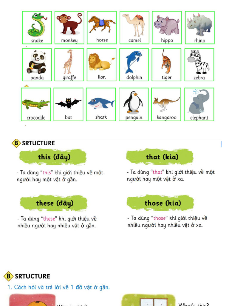 Review Animal Unit 1 | PDF