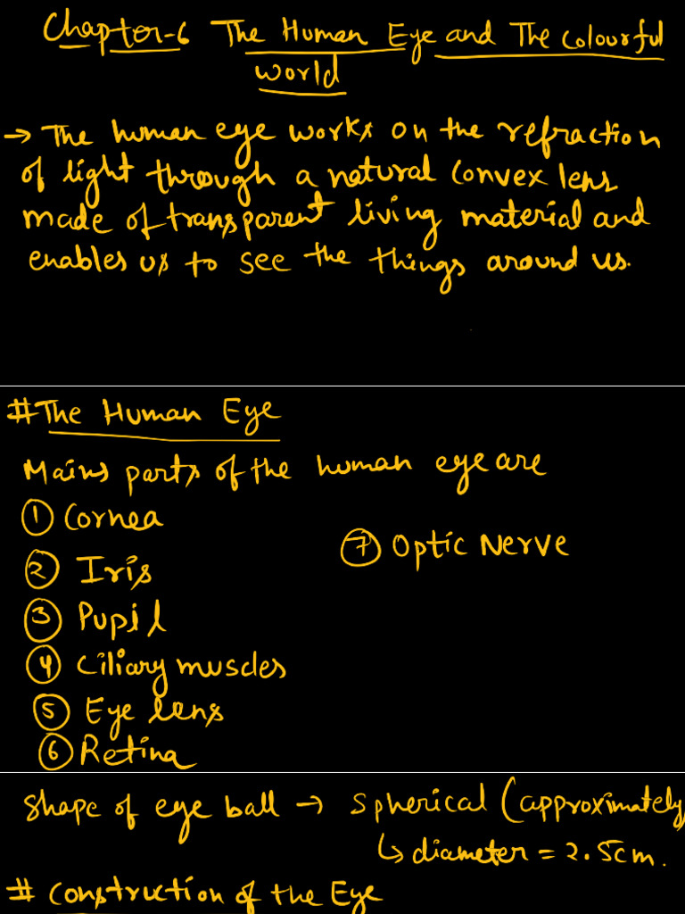 Human Eye-2 | PDF
