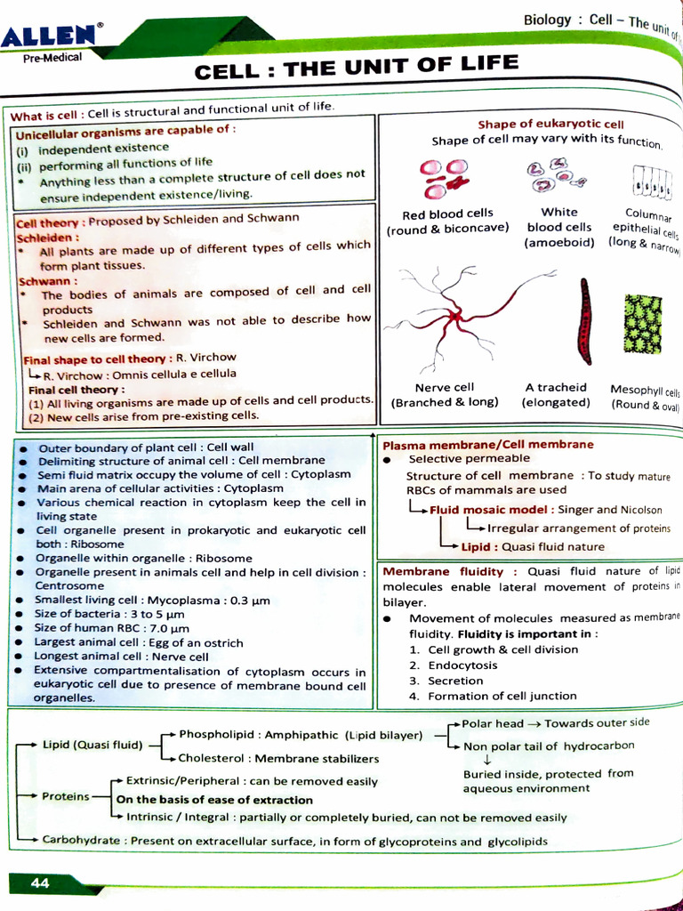 Cell-short-notes.-546b1385-6cf8-4dc7-98ad-2caa35558f2a | PDF | Cell ...