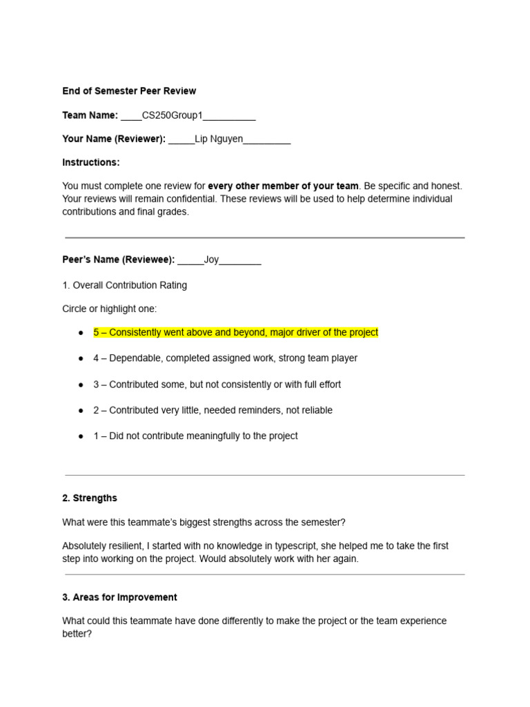 Team Peer Review-Template | PDF