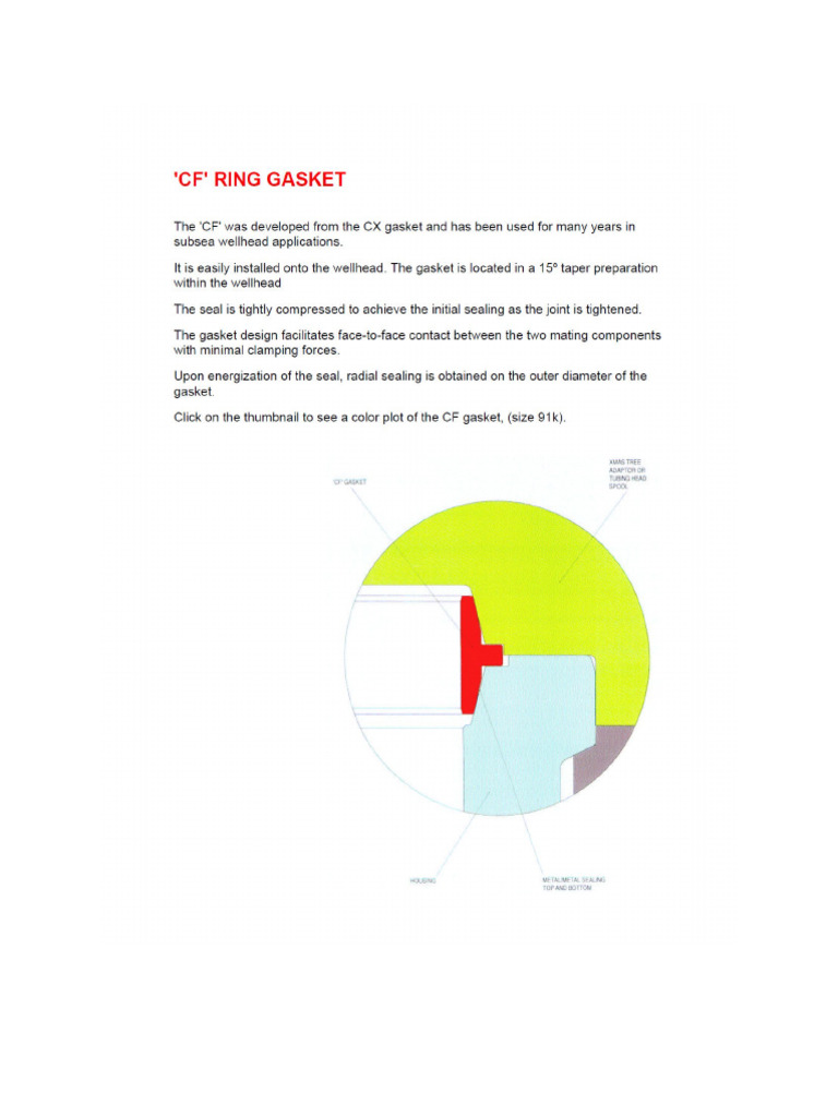 CF Ring Gasket | PDF