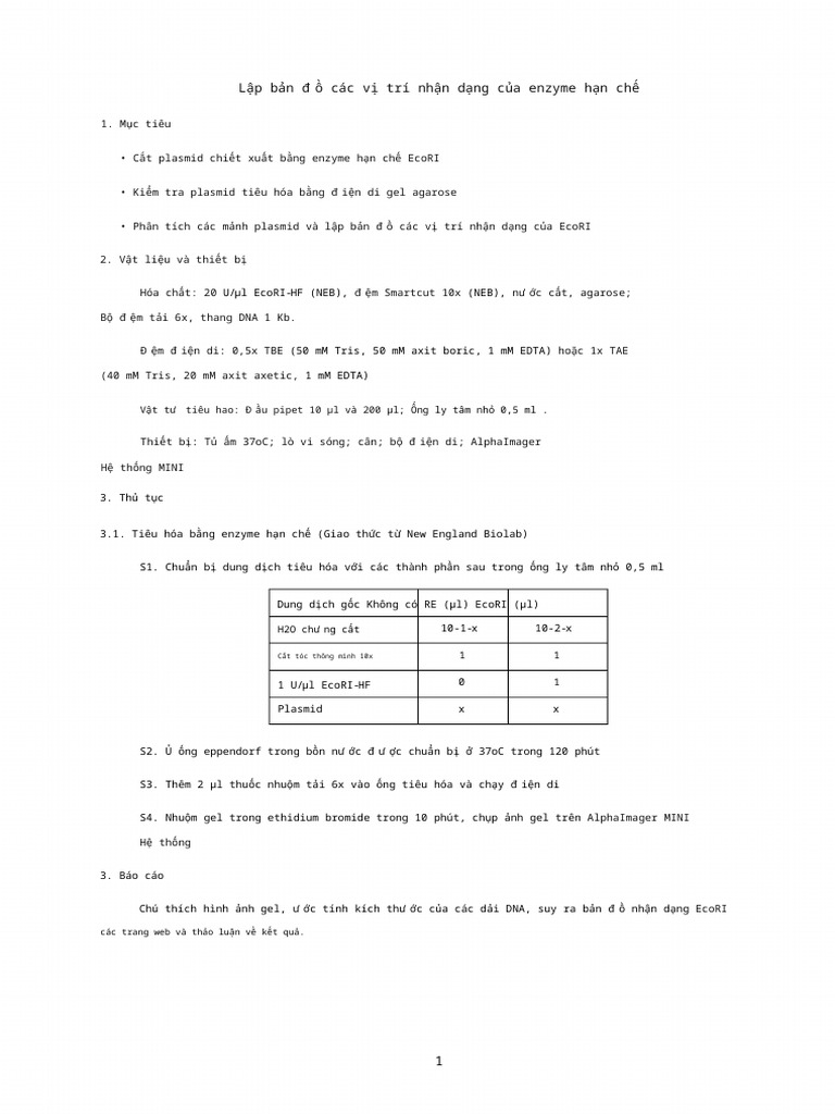 20250421 Restriction Mapping EcoRI (1) | PDF