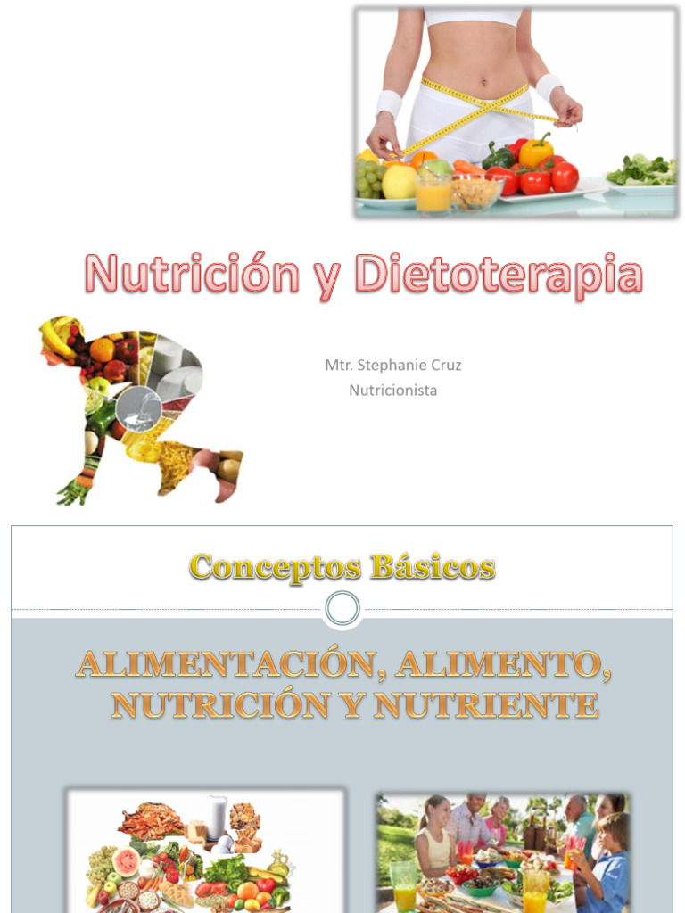 Conceptos Basicos | PDF | Alimentos | Nutrientes