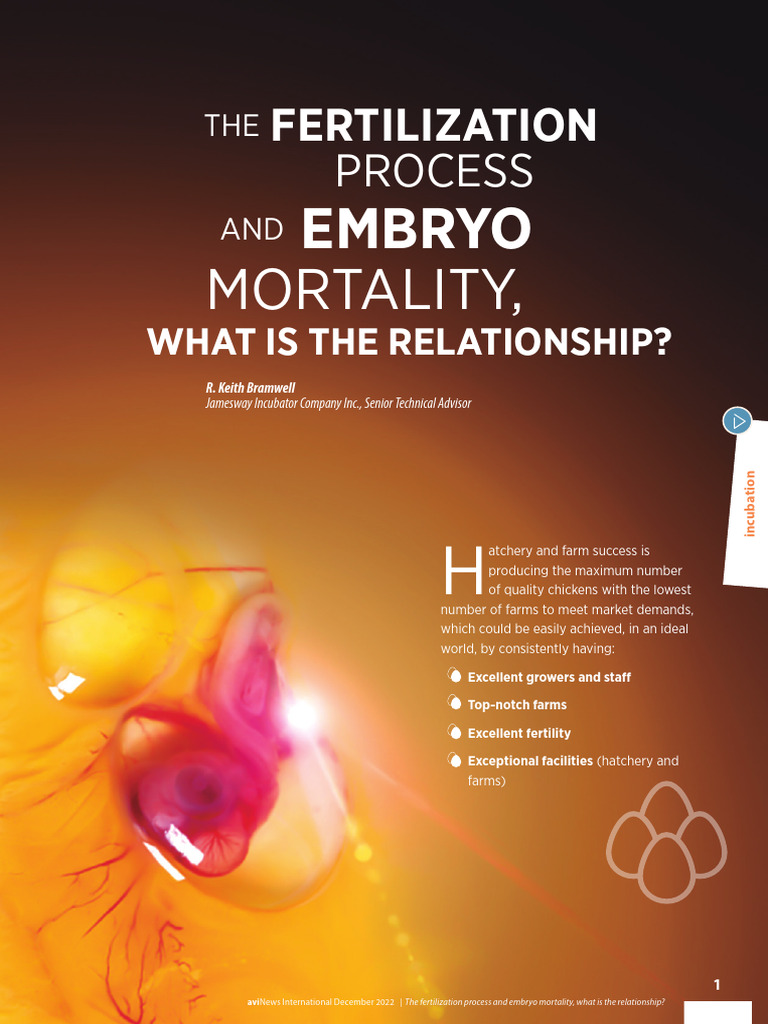 Fertilization and Embryo Mortality Insights | PDF | Egg | Fertilisation