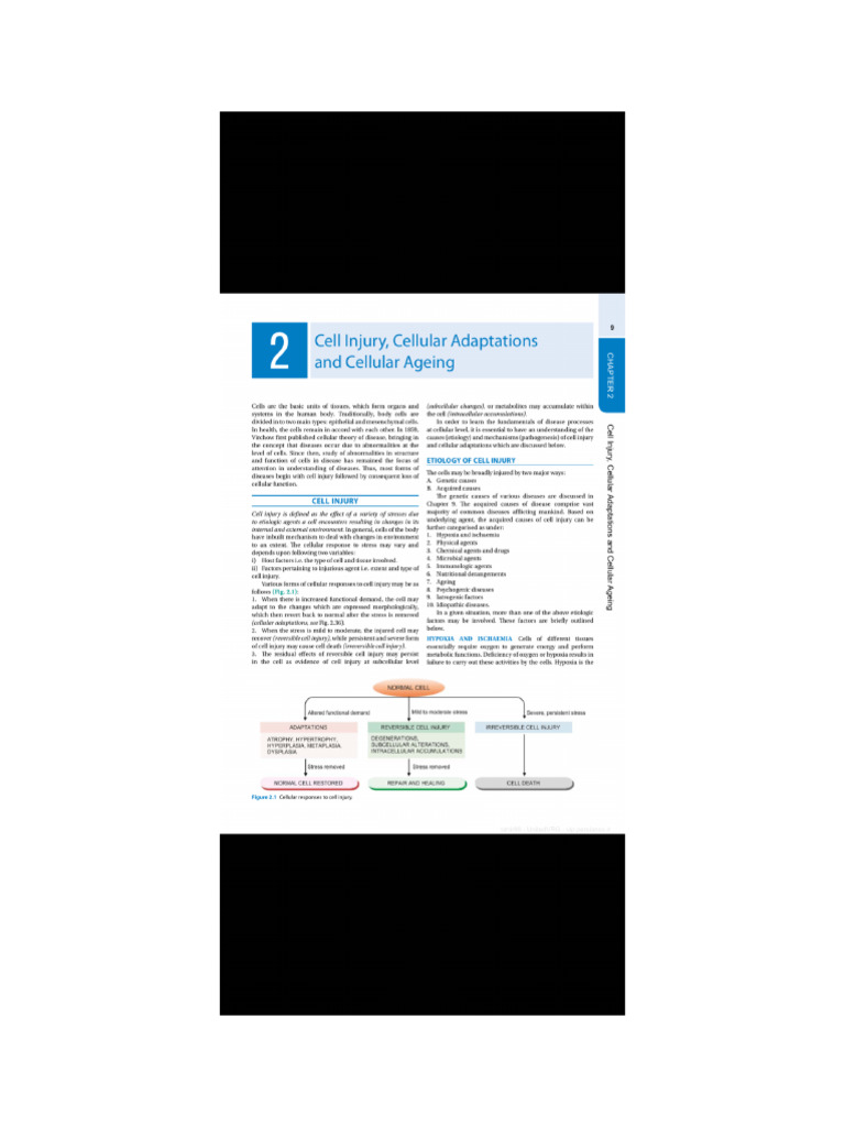Chapter 2 | PDF