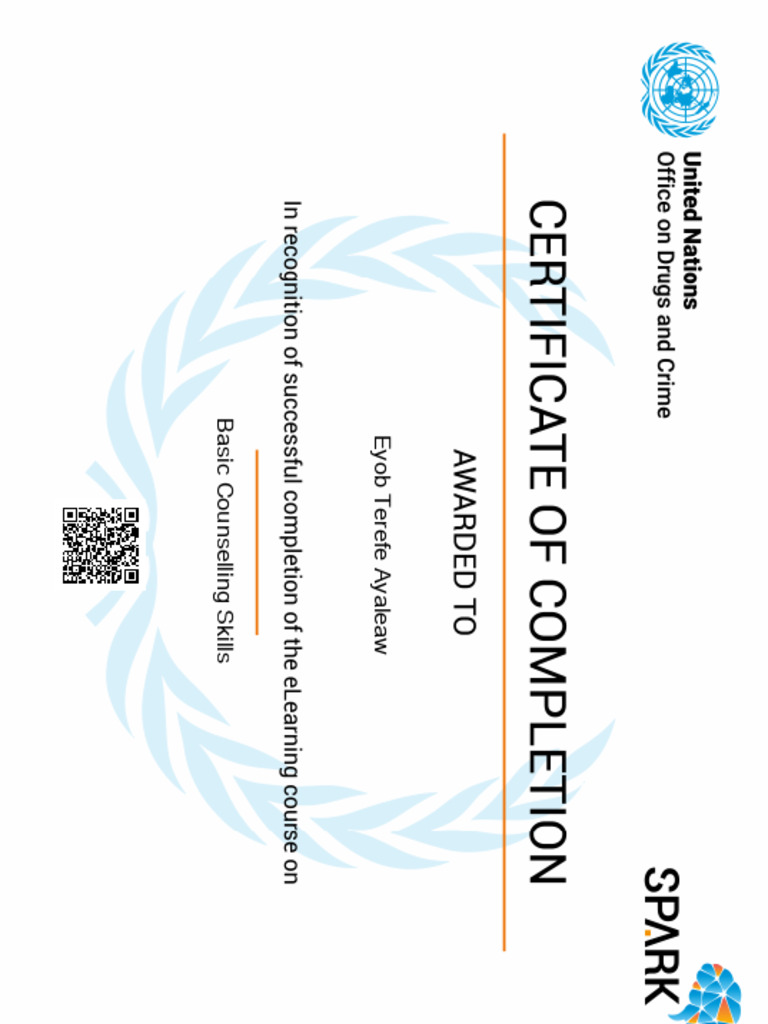 Basic Counselling Skills Guide | PDF