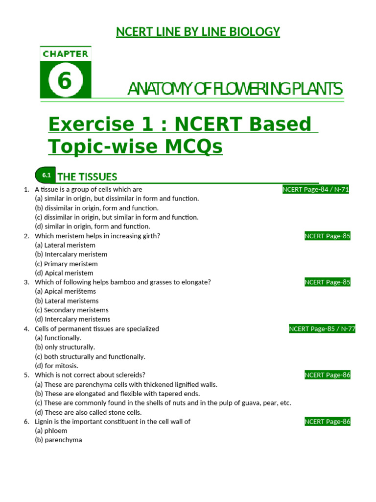 5.Anatomy of Flowering Plants | PDF | Tissue (Biology) | Plant Stem