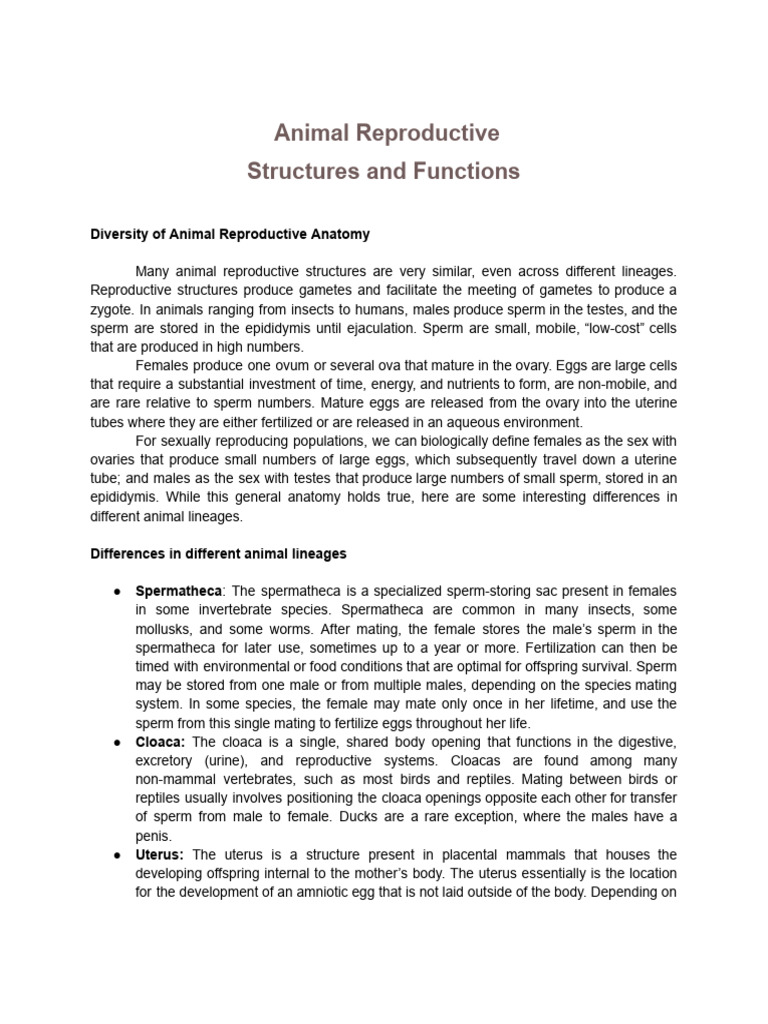 Animal Reproductive Structures Explained | PDF | Menstrual Cycle | Ovary