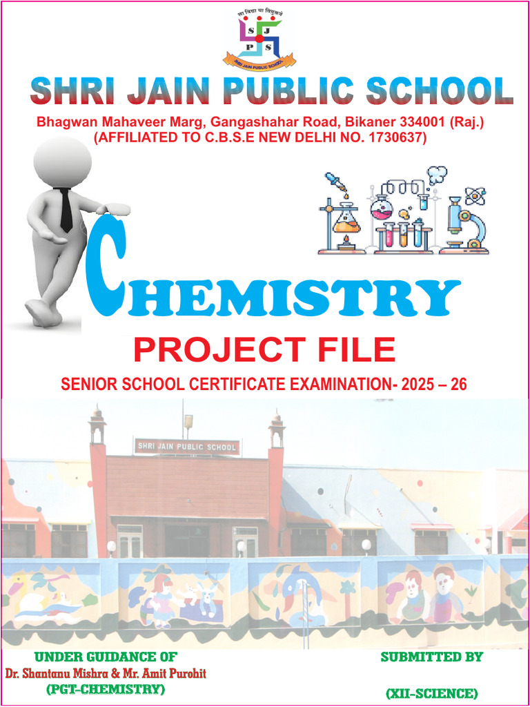 XII Science Chemistry Project File 2025 | PDF