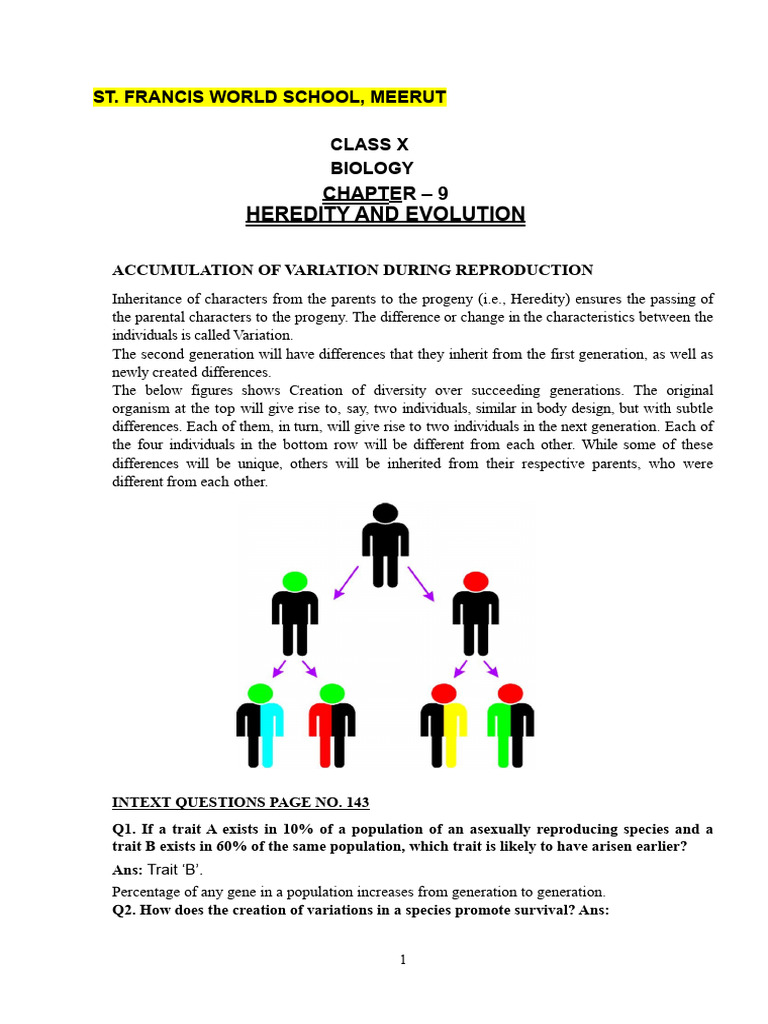 Class X CH Heredity and Evolution Notes | PDF | Reproduction | Genotype