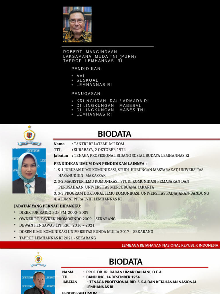 Profil Tenaga Profesional Lemhannas RI | PDF