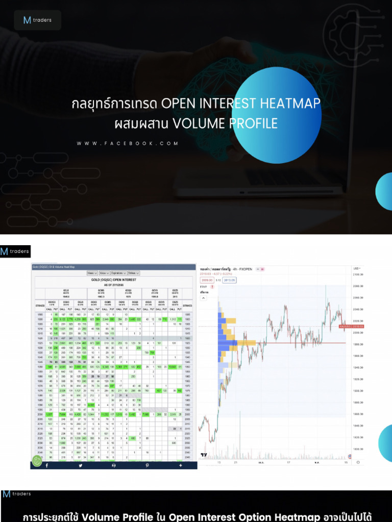 Heatmap +Volume Profile | PDF