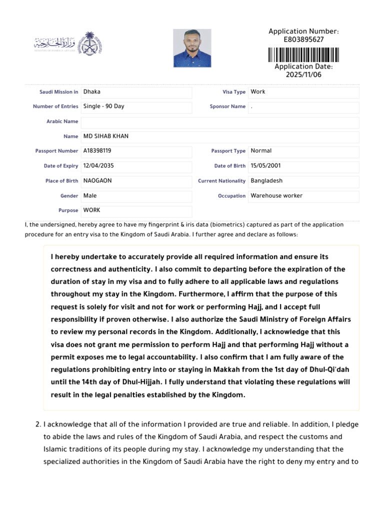 Visa Platform | PDF | Travel Visa | Saudi Arabia