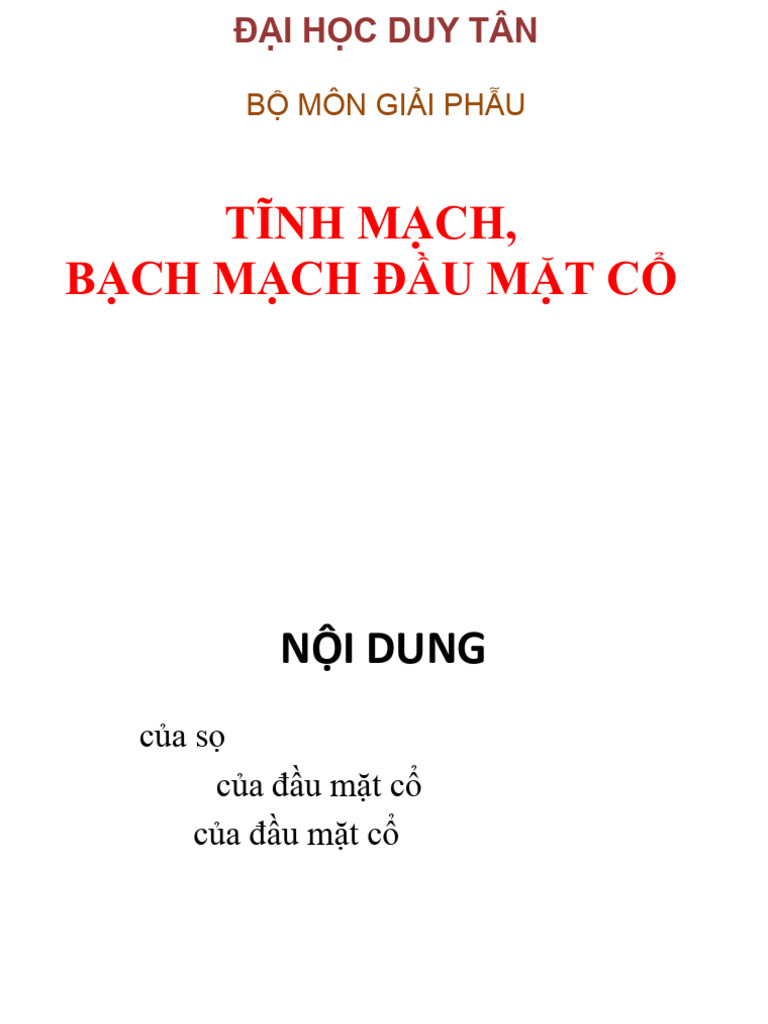 5. Tinh Mach Bach Mach Dau Mat Co | PDF