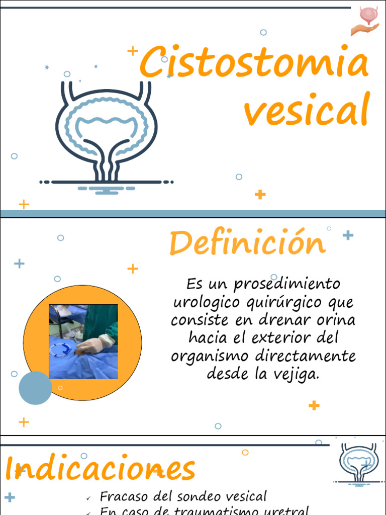 Cistostomia Vesical | PDF | Urología | Especialidades Medicas