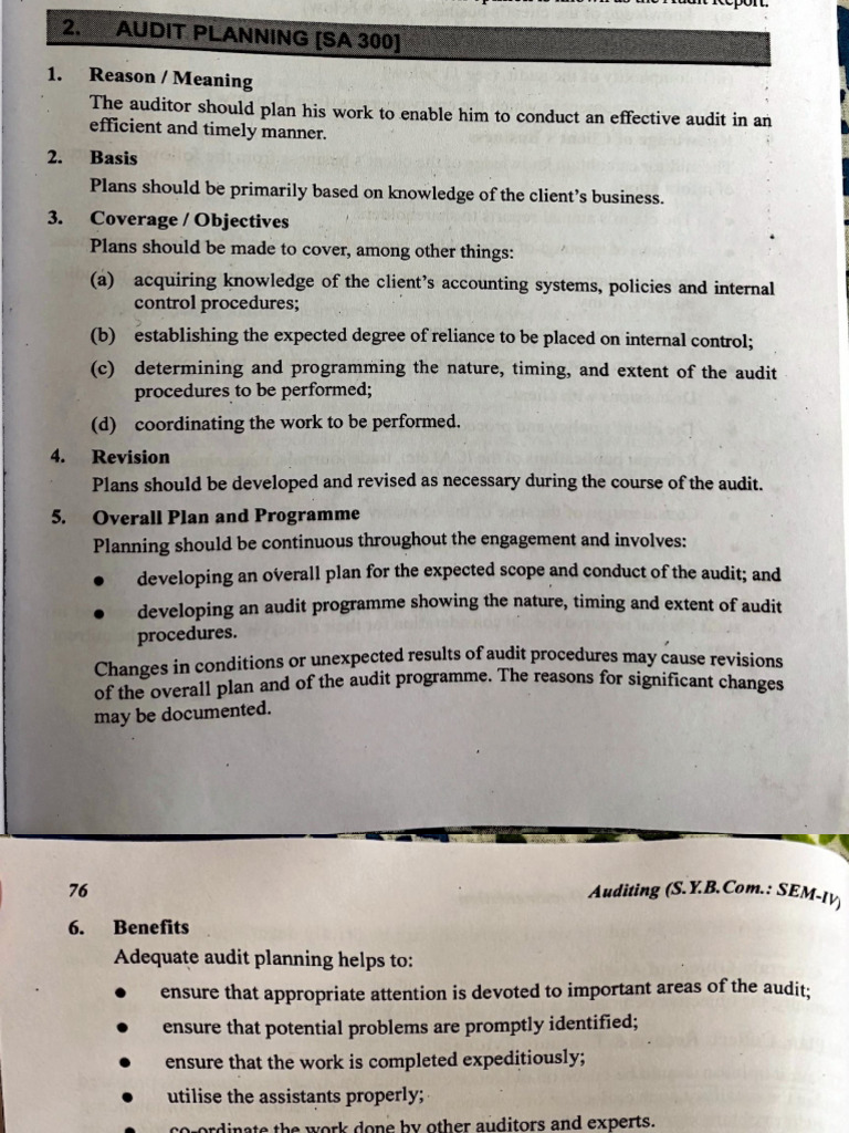 Audit Module 2 | PDF