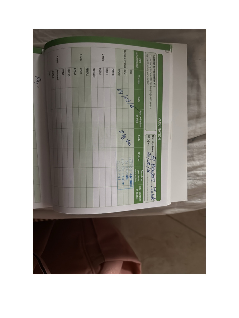 Merged Document | PDF