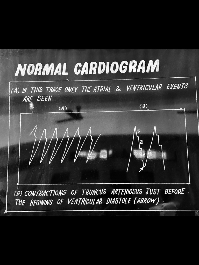Amphibian Lab(PHYSIO) by Akarsh | PDF