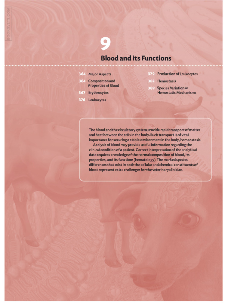 Blood and Its Functions | PDF