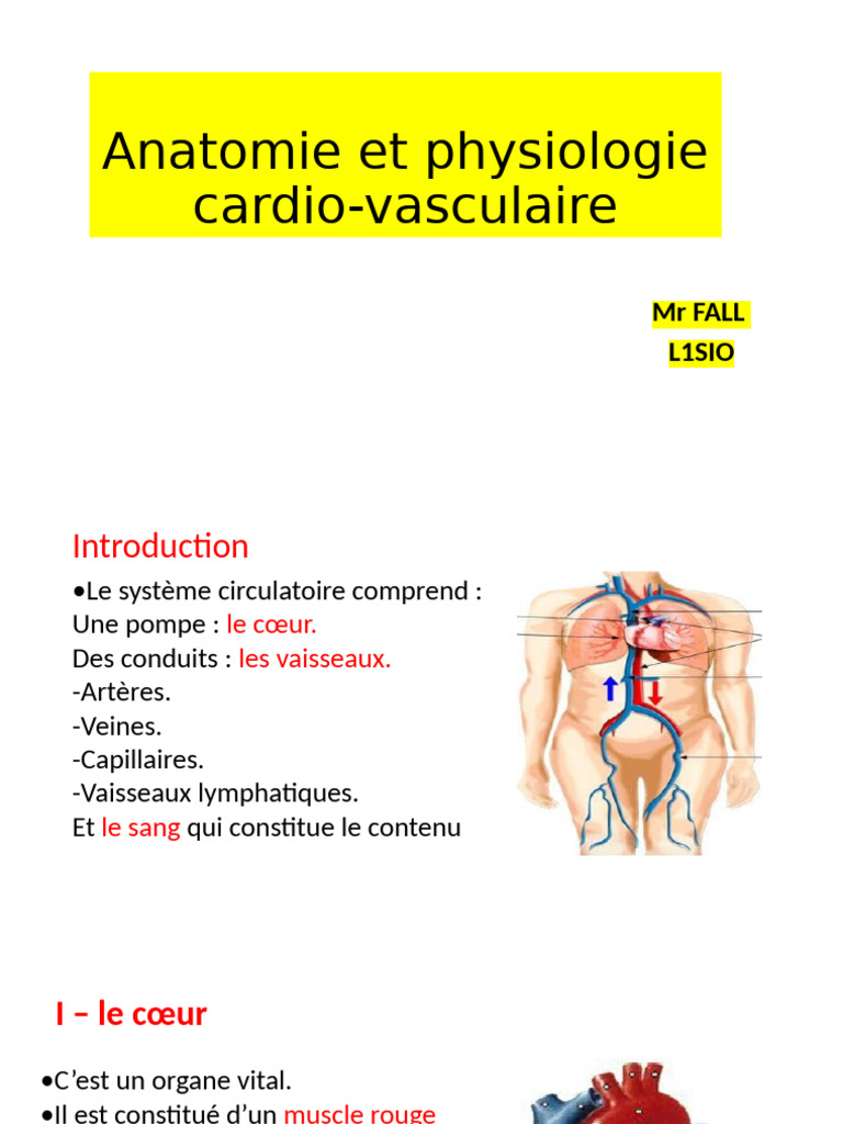 Anatomie et physiologie cardio-vasculaire | PDF | Sang | Ventricule ...